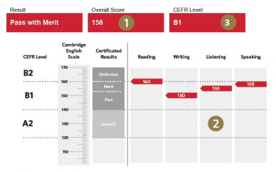 Qué puntuación necesitas para aprobar tu examen PET y conseguir tu ...